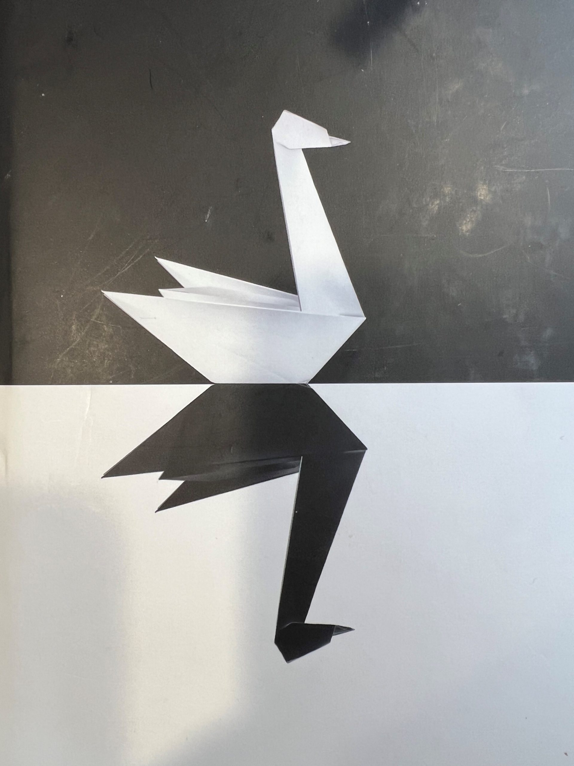 What is a Black Swan event? | Cambridge Risk Solutions